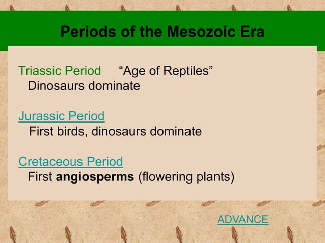 Prehistory 1: Geologic Timeline- Notes on the geologic & life history ...