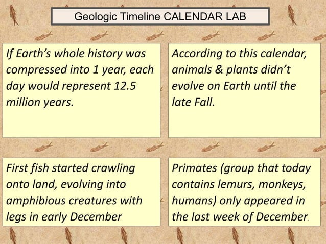 Prehistory 1: Geologic Timeline- Notes on the geologic & life history ...