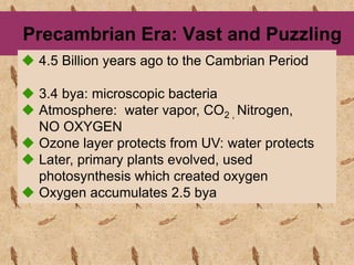 Microscopic Bacteria Precambrian