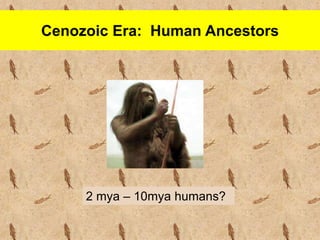 Cenozoic Era Human