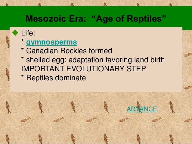 Mesozoic Era Timeline And Important Facts