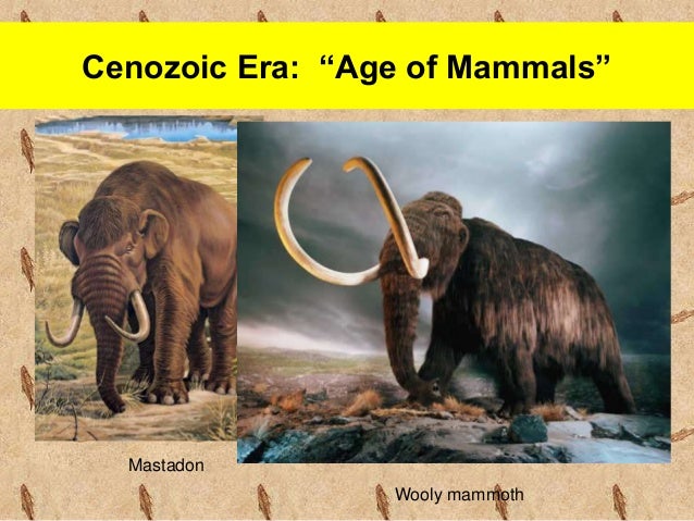 Ppt Cenozoic Era The Age Of Mammals Powerpoint PPT Cenozoic Era The