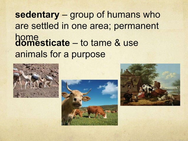 Prehistory_History & BC_AD Timeline Notes.ppt Prehistory_History & BC_AD Timeline Notes.ppt