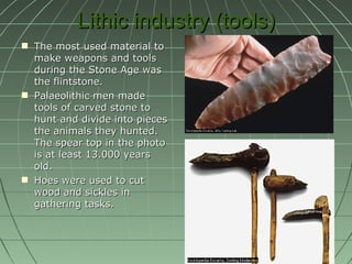 Prehistory | PPT