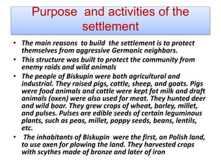 Pre history of architecture and biskupin | PPTX