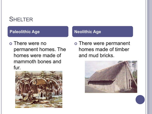 Prehistory project | PPTX