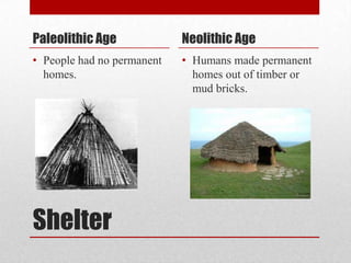 Prehistory project | PPT