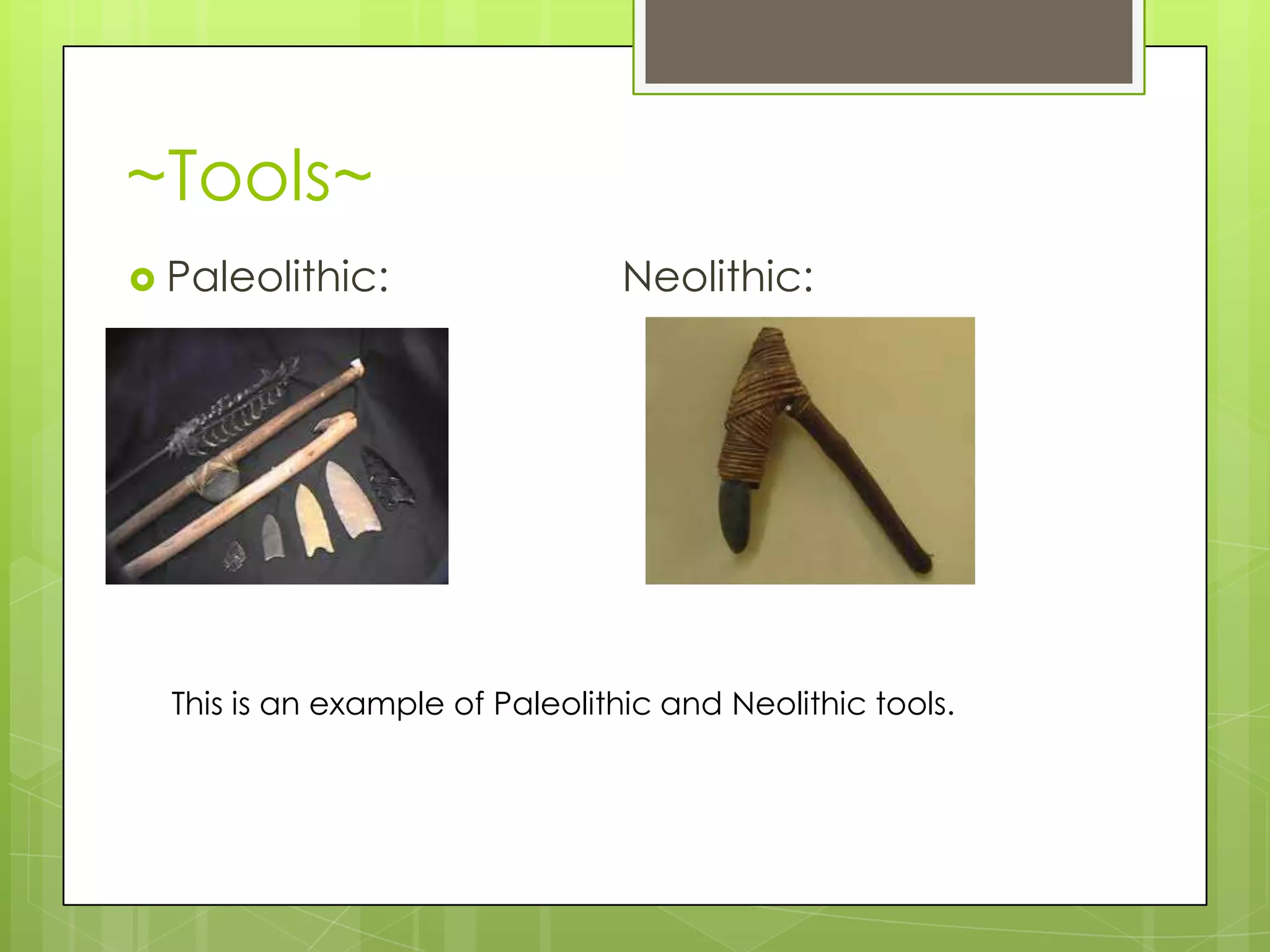 Prehistory Project | PPTX