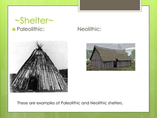 Prehistory Project | PPT