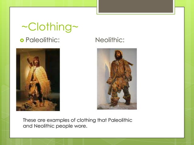 Prehistory Project | PPT