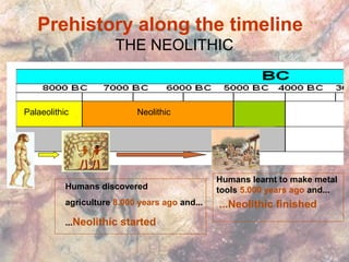 Prehistoric Tools Timeline