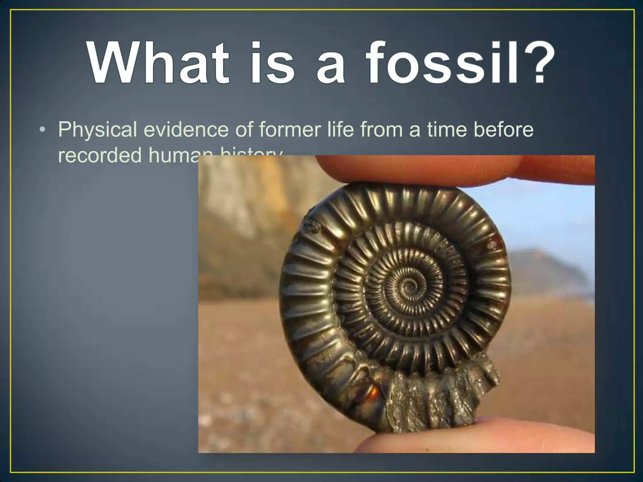 Prehistory vs history powerpoint | PPTX