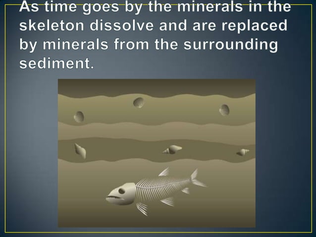 Prehistory vs history powerpoint | PPT