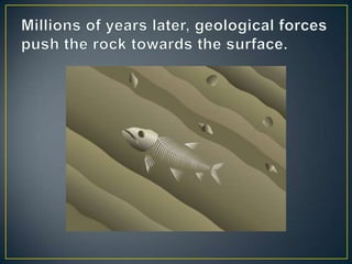 Prehistory vs history powerpoint | PPT