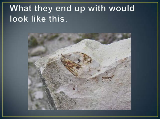 Prehistory vs history powerpoint | PPT