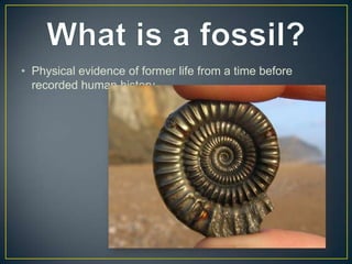 Prehistory vs history powerpoint | PPT