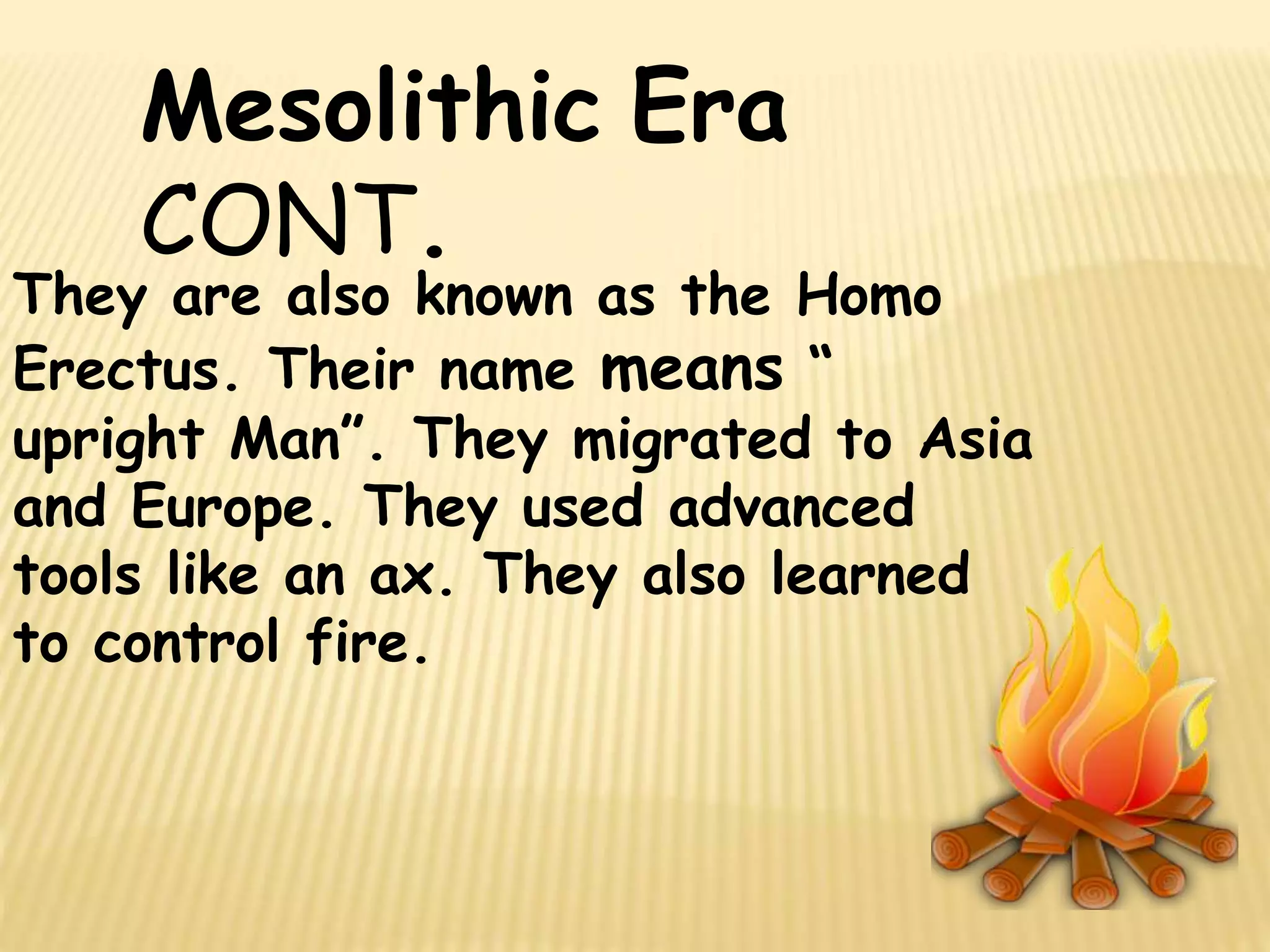 Mesolithic Age | PPTX