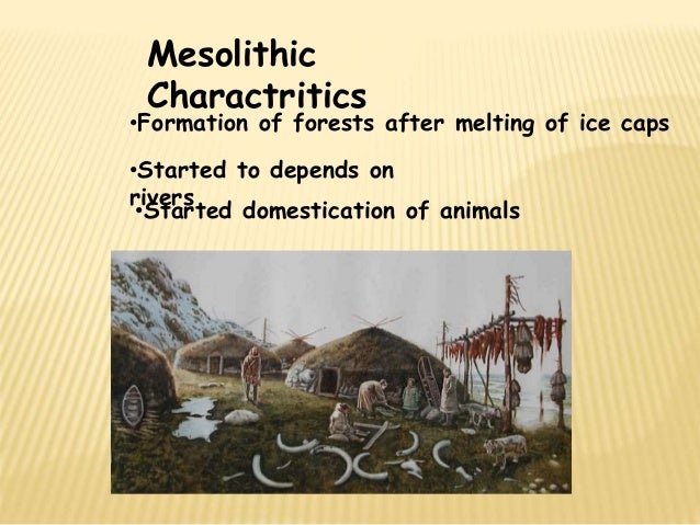 Mesolithic Period
