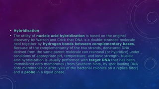 prehybridization(1) (3) steps of dna extraction .pptx