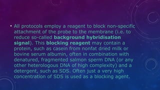 prehybridization(1) (3) steps of dna extraction .pptx
