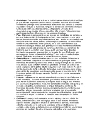 Pre informe estructuras del aparato digestivo de las gallinas | DOCX