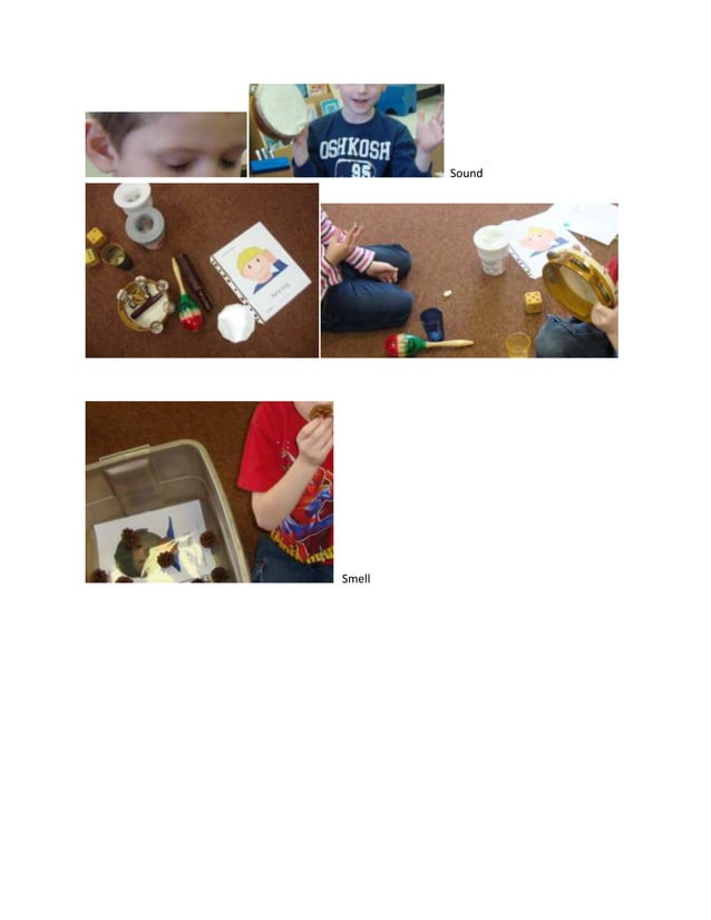 Pre K Kindergarten Number Sense 5 Senses Pdf 