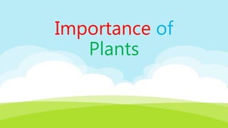Pre k importance of plants | PPT