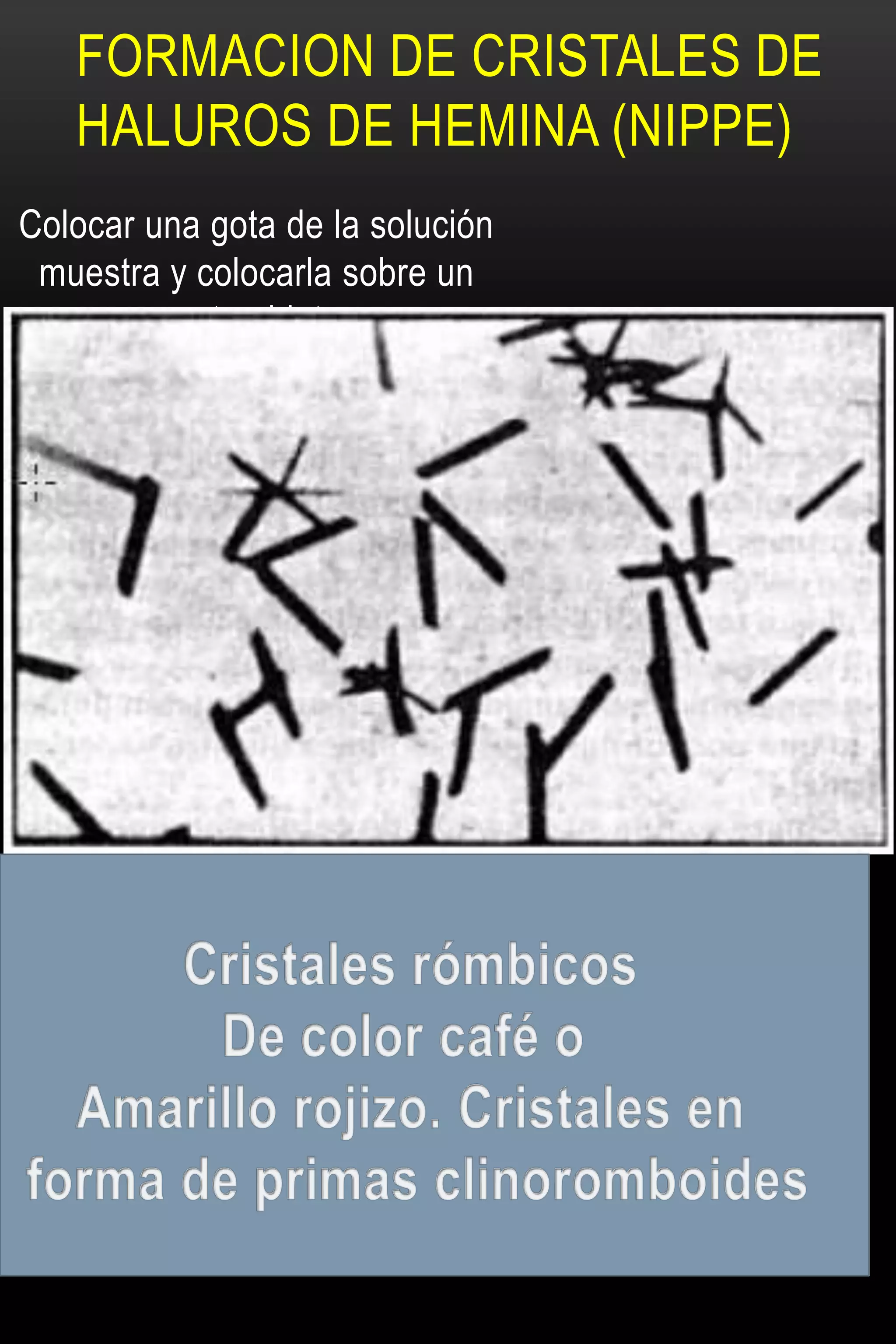 Prelaboratorio de practica 2 de analisis quimico forense | PPTX