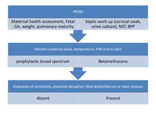 Prelabour Rupture of Membranes (PROM).pptx
