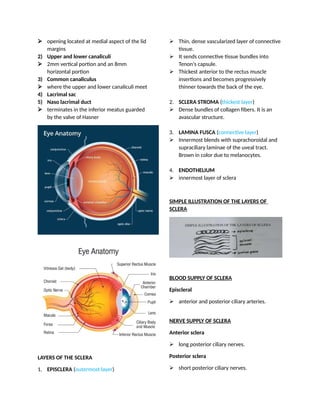 Prelim-Ocular-Anatomy copy m (2).docx