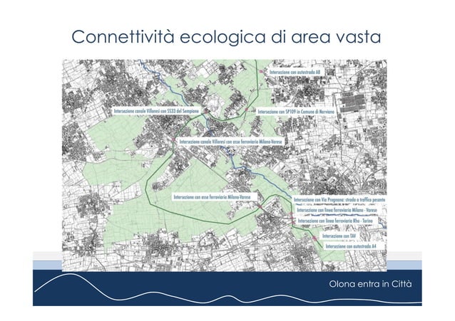 Costruire un’area umida | PDF