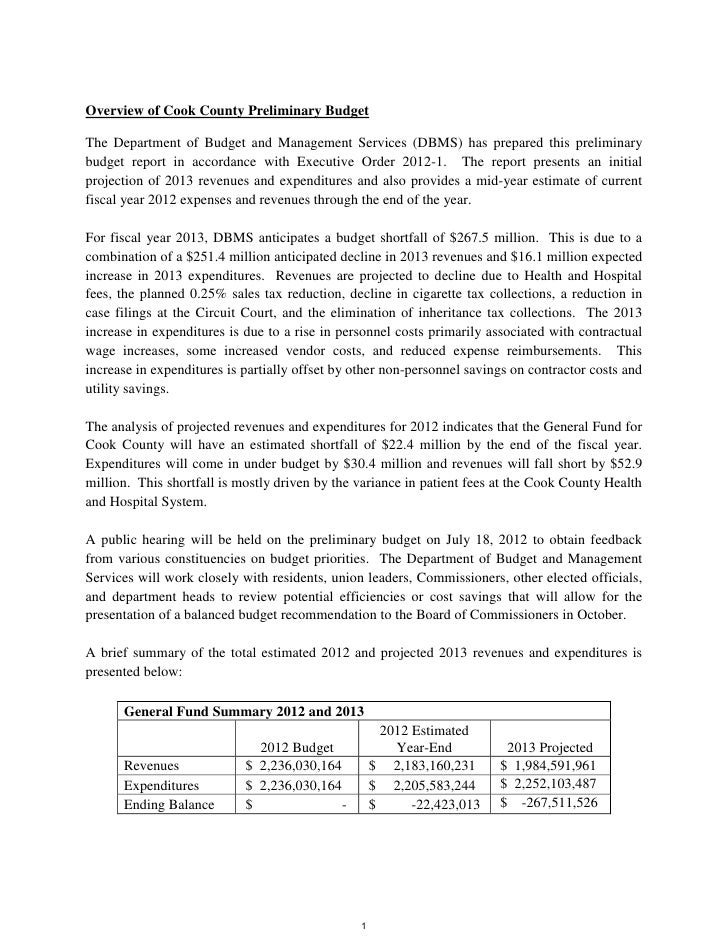 2013 Cook County Preliminary Budget