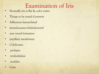 Preliminary examination | PPT