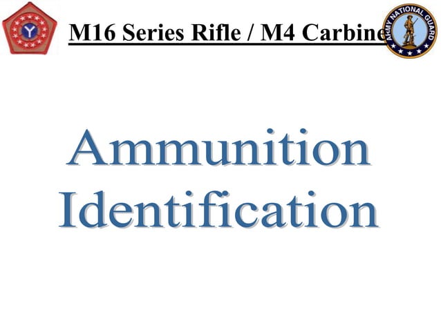 Preliminary Marksmanship Instruction | PPTX