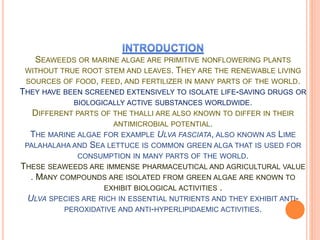Preliminary phytochemical screening and antibacterial activity of ulva ...