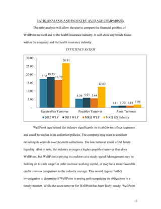 Preliminary Risk Assessment on WellPoint | PDF