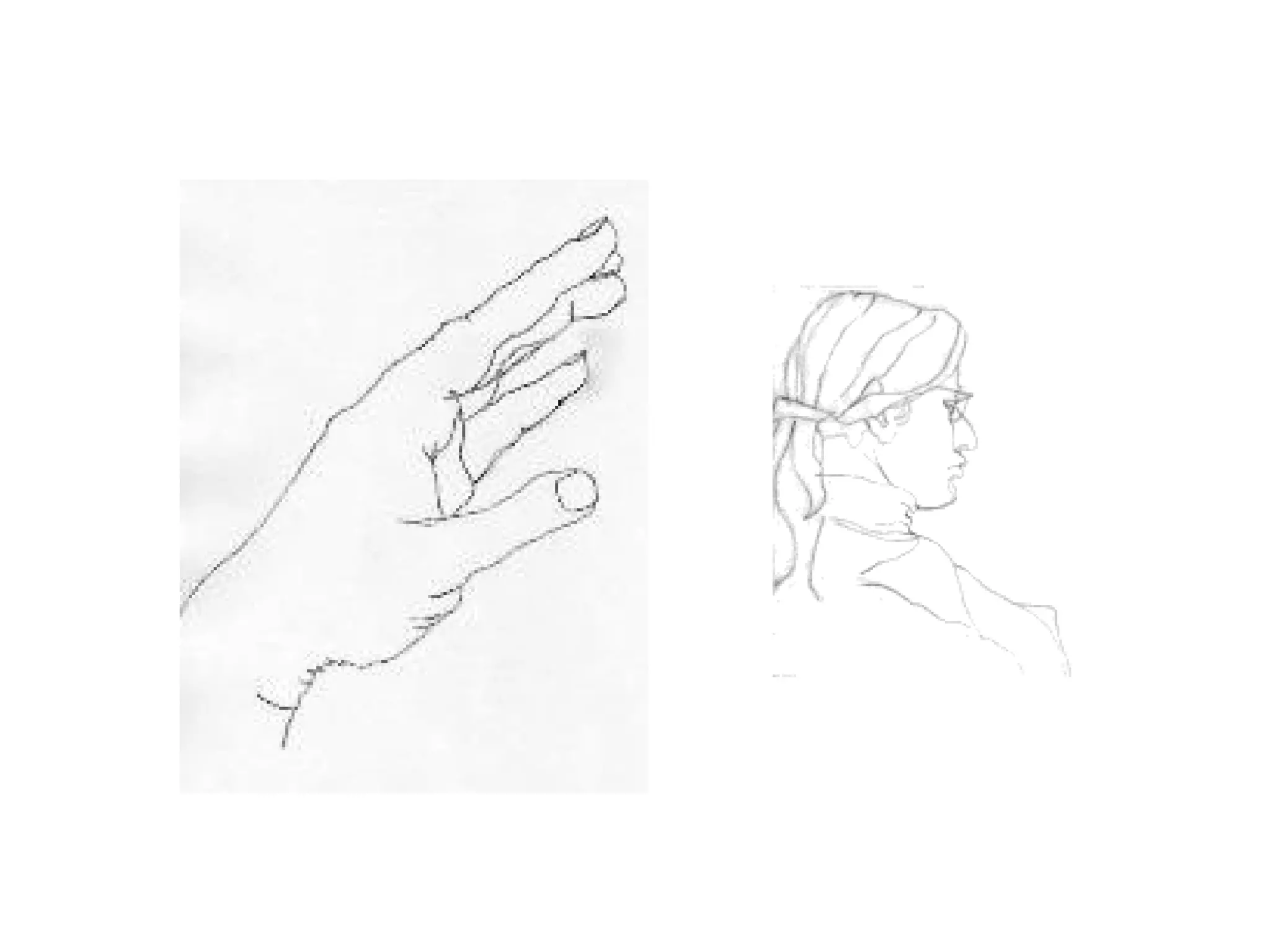 Preliminary Sketch and Organizational Line | PPT