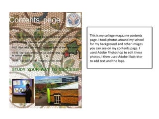 Preliminary task | PPTX | Desktop Publishing | Computer Software and Applications