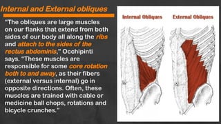 PATHFIT 2: The major muscles of core include: | PPTX