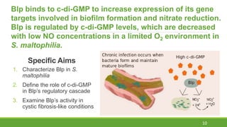 Cystic Fibrosis Infection Risk Proposal | PPTX