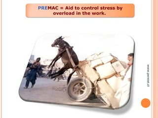 Self Management in Safety | PPT