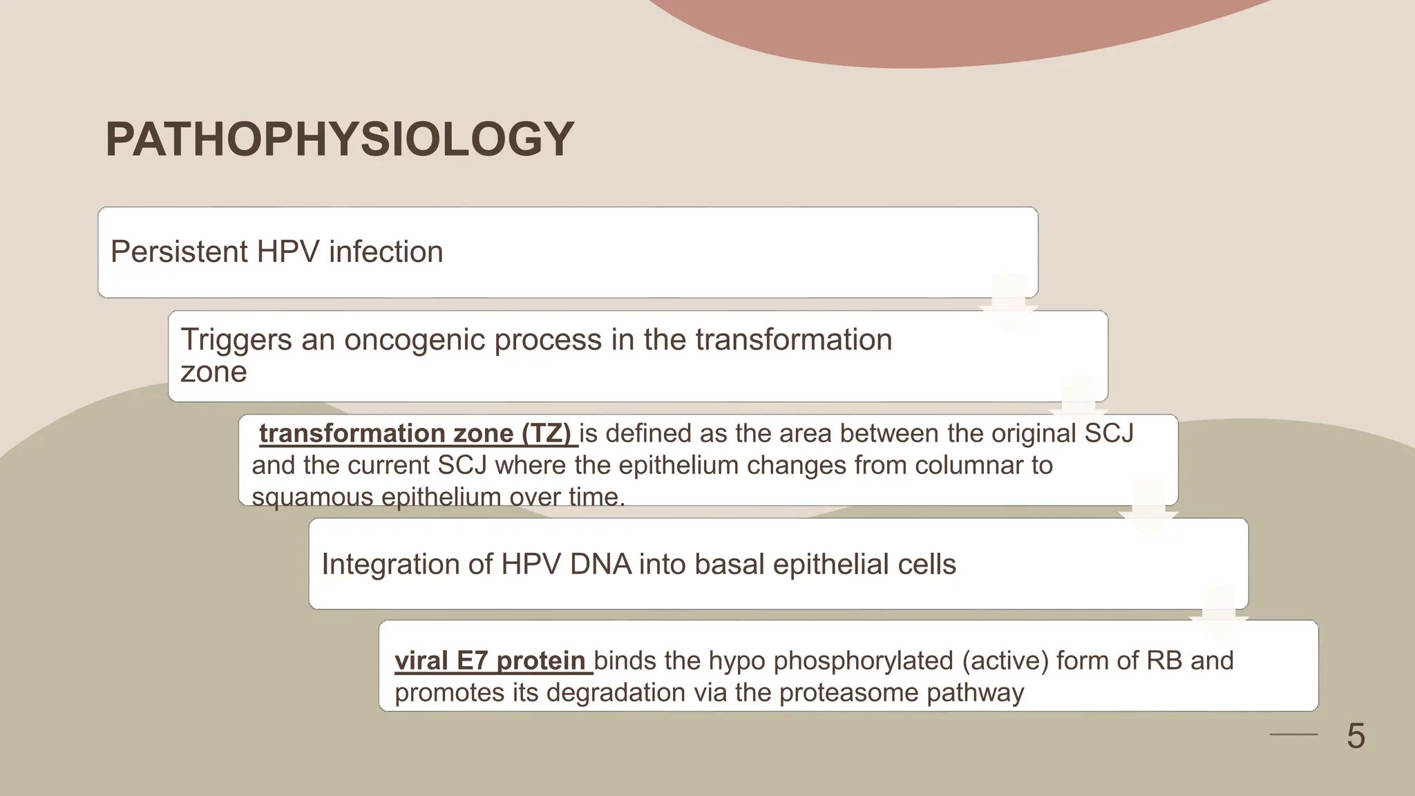 PREMALIGNANT AND MALIGNANT DISEASE OF CERVIX (1).pptx