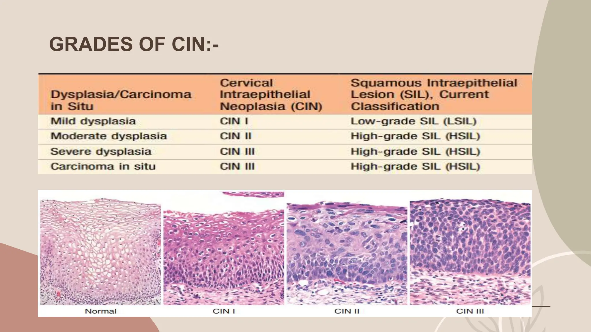 PREMALIGNANT AND MALIGNANT DISEASE OF CERVIX (1).pptx