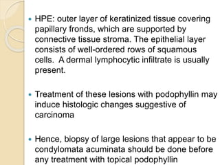 Premalignant lesions in carcinoma penis | PPTX