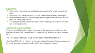 Premalignant lesions in cervix and its management.pptx