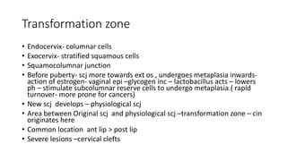 PREMALIGNANT LESIONS OF CERVIX.pptx