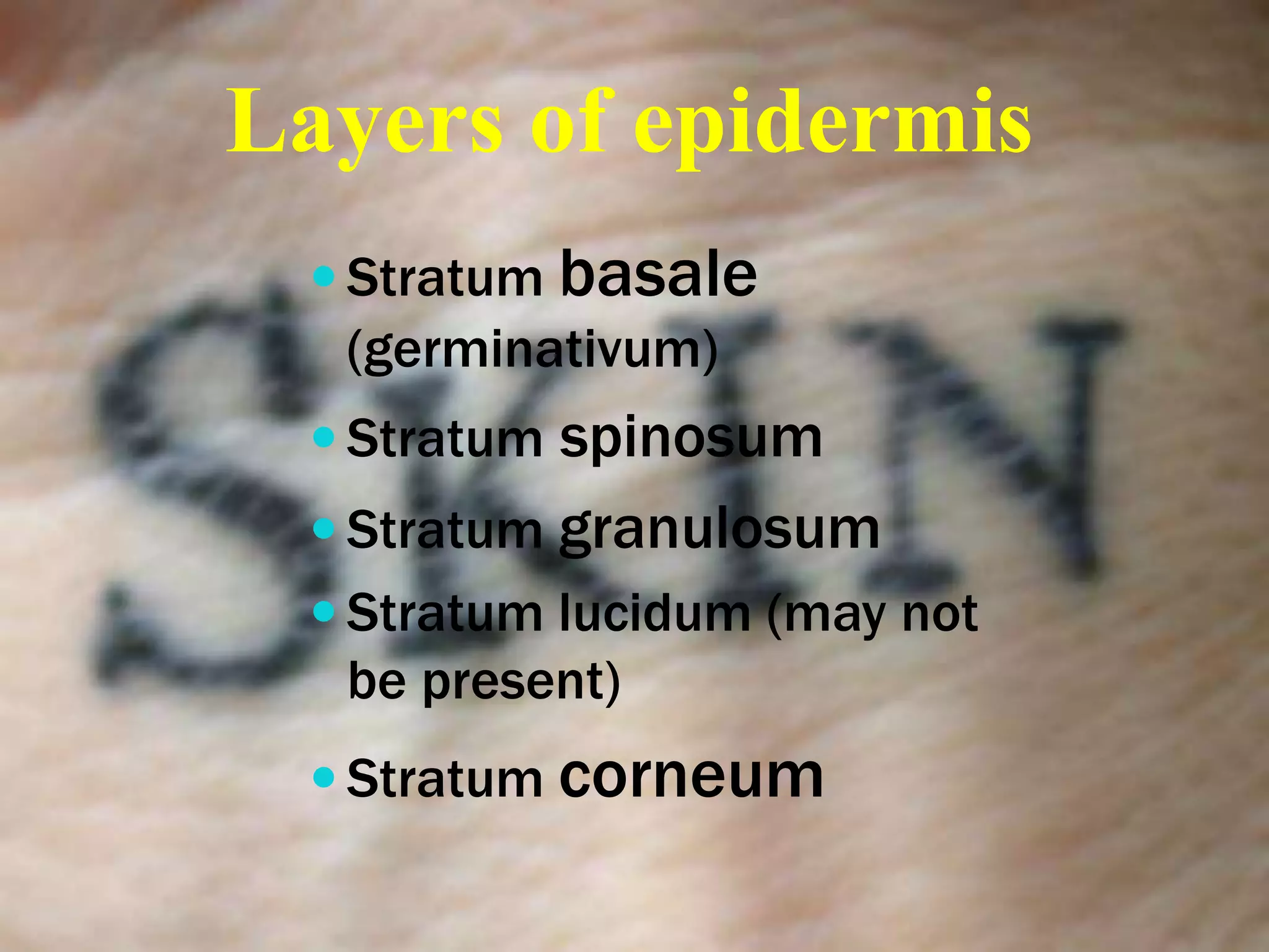 Pre malignant lesions of skin | PPTX