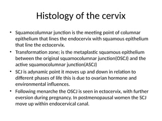 PREMALIGNANT LESIONS OF THE CERVIX DAHIR.pptx