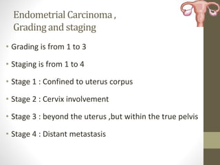 Premalignant lesions of the endometrium | PPTX