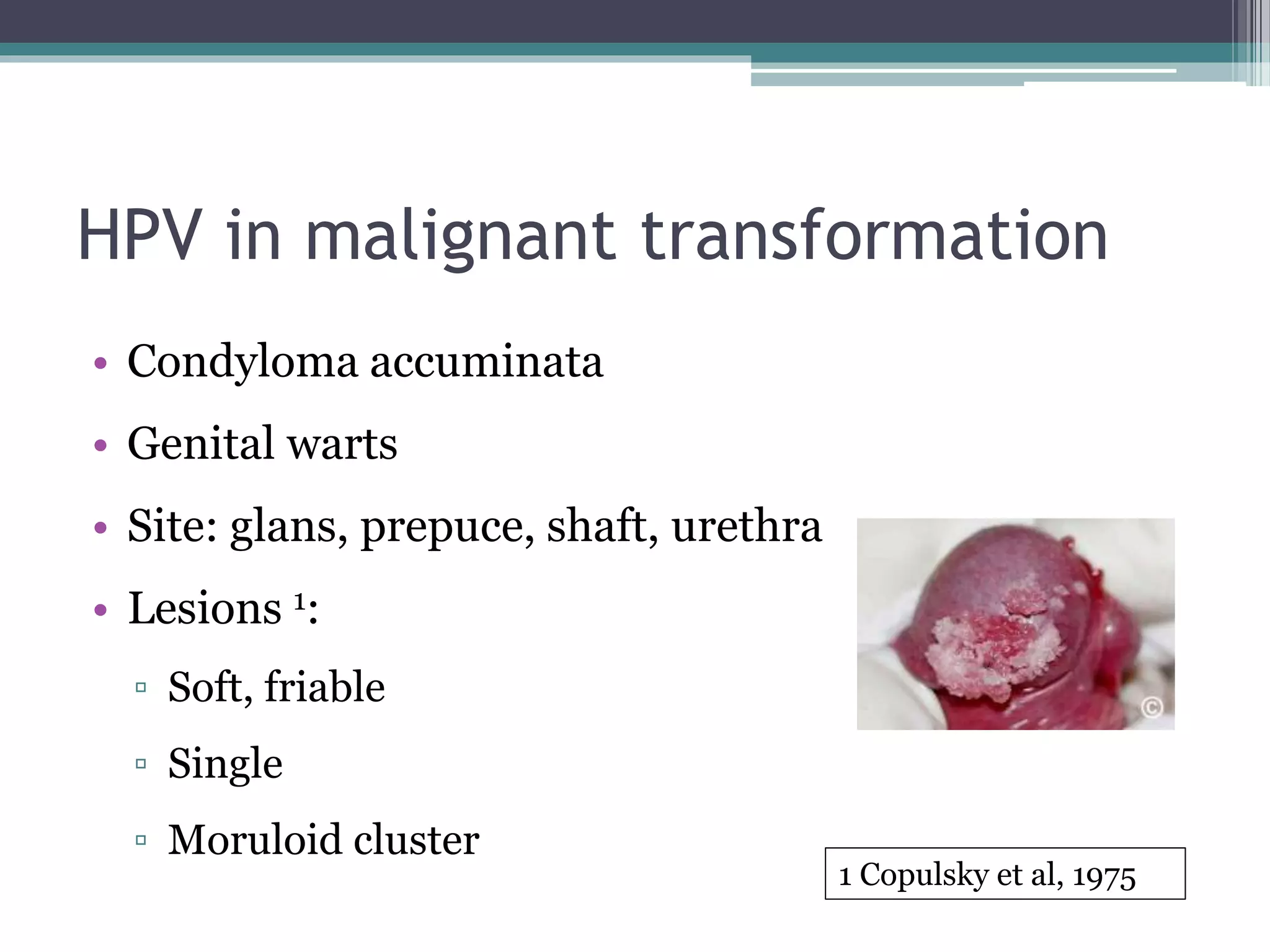 Premalignant penile lesions.pptx